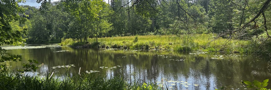 Canada Launches Its Interactive History of the Mother Earth Environment ...